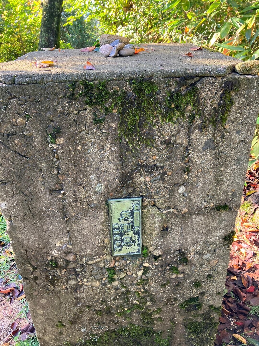 Mochaさんの投稿したフィールドメモ | YAMAP / ヤマップ