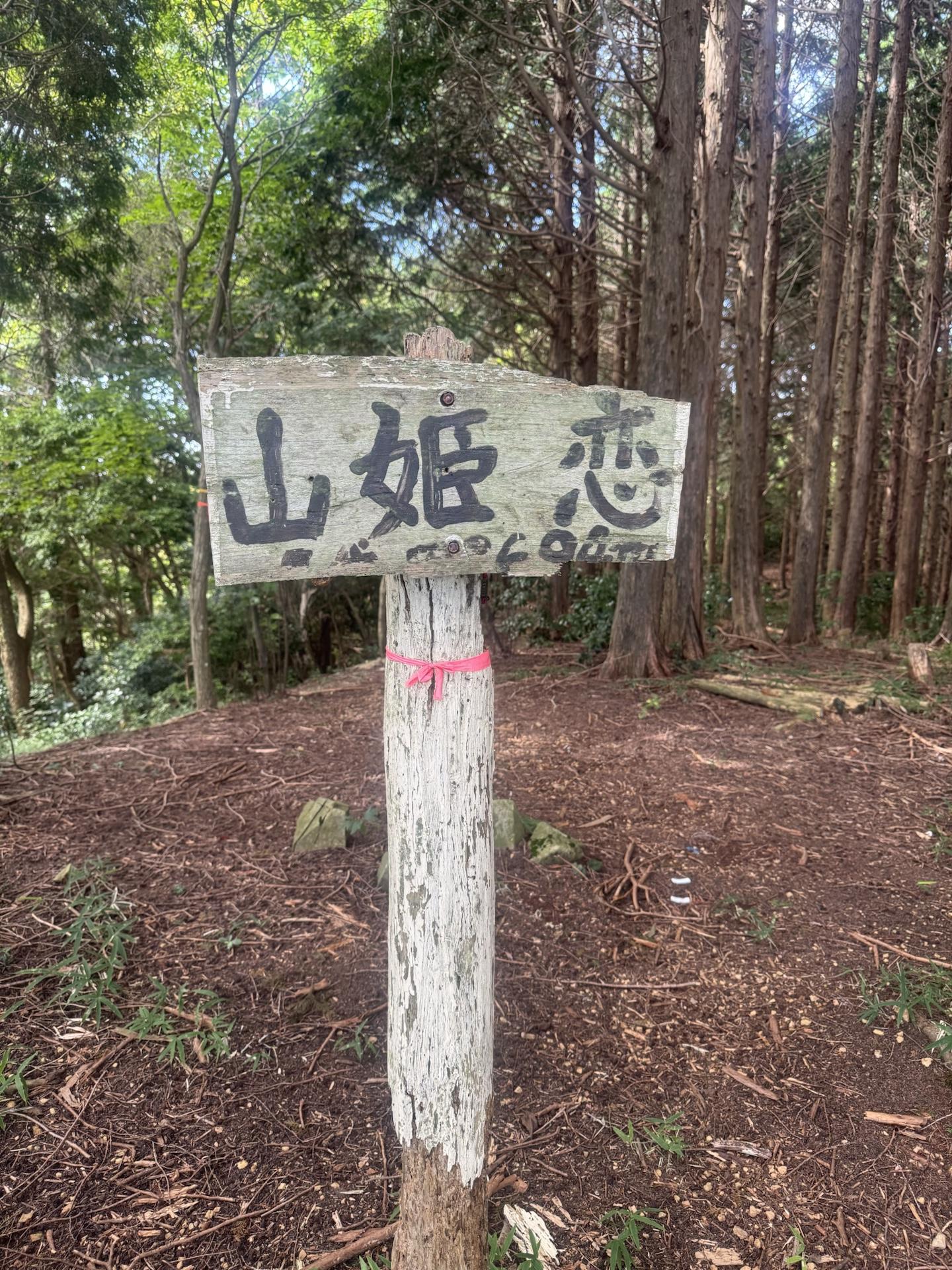羽沢・鎌知土・恋姫山・桜番所(飯盛)・飯盛山(勇守山) / ryu-nosukeさんの多度山・美濃松山・石津御嶽の活動データ | YAMAP / ヤマップ