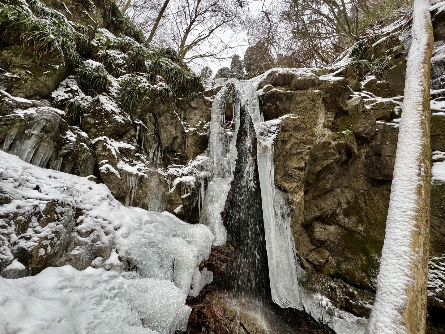 この冬、初アイゼン🗻金剛山 / moboさんの金剛山・二上山・大和葛城山の活動データ | YAMAP / ヤマップ
