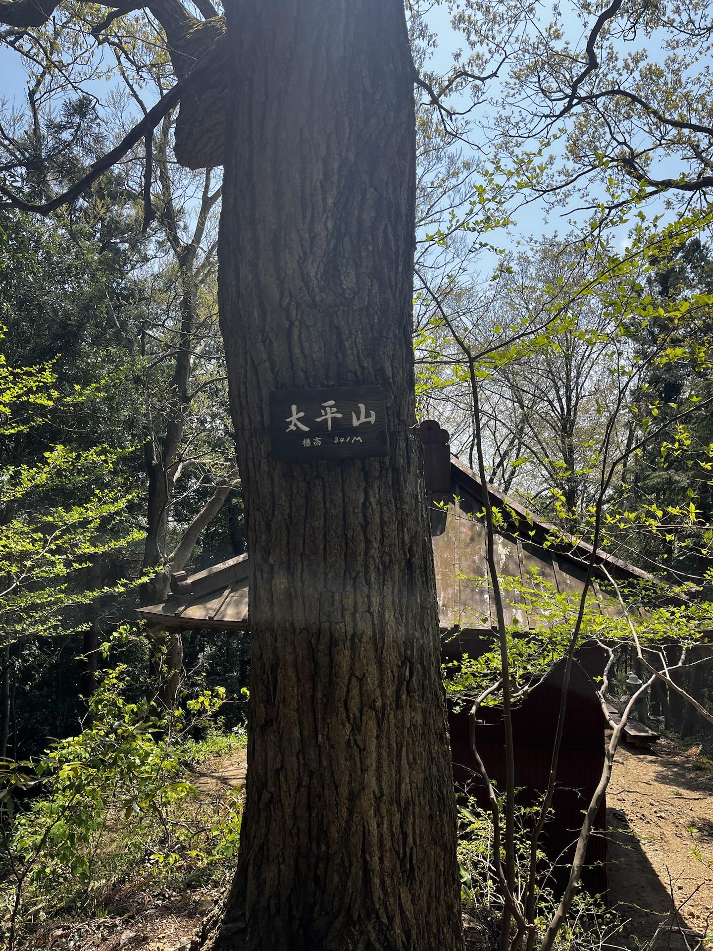 2025.04.18(金) 00:34 / TKCさんのモーメント | YAMAP / ヤマップ