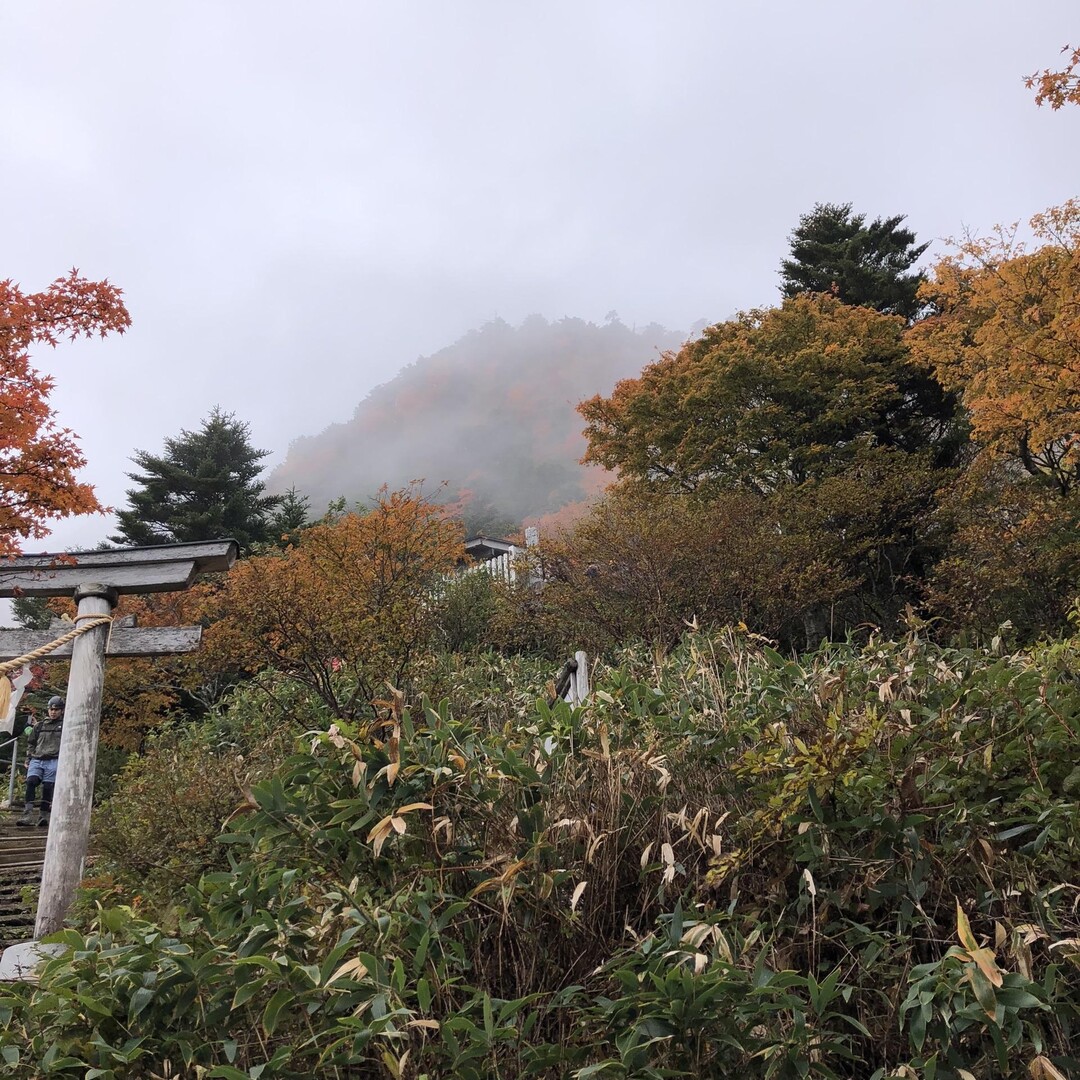 紅葉を観に石鎚山のハズが．．． / 883XLerさんの石鎚山・堂ヶ森・二ノ森の活動データ | YAMAP / ヤマップ