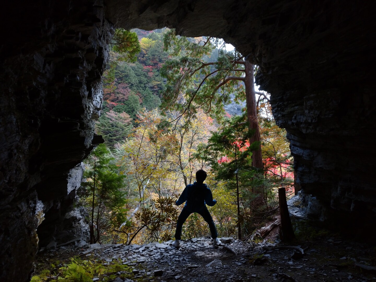 稲叢山 / aoiさんの稲叢山の活動日記 | YAMAP / ヤマップ