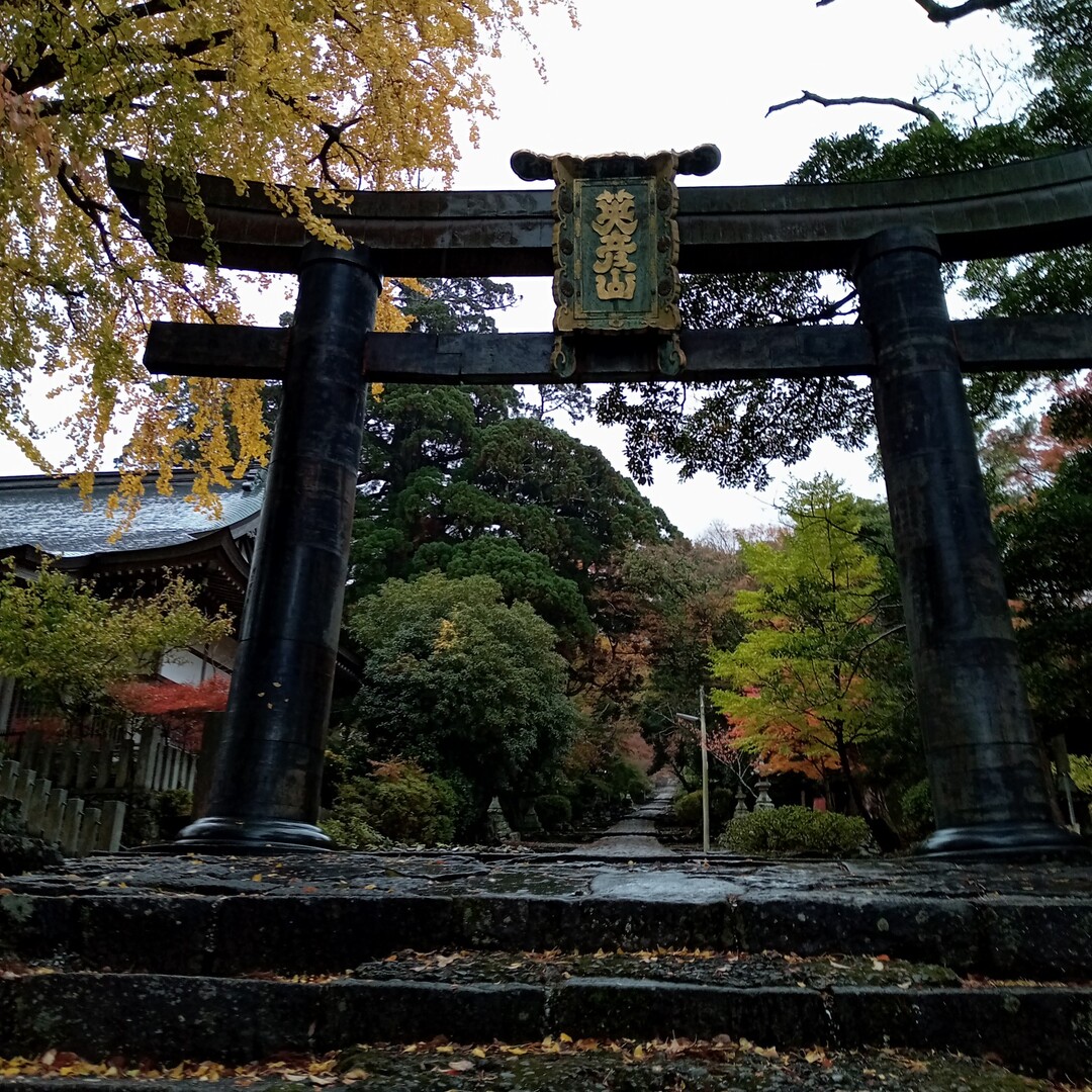 英彦山神社の鳥居からの! / ヒーさんさんのモーメント | YAMAP / ヤマップ