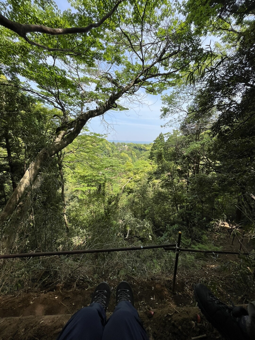 のみがね峻道 / yayokoさんのウォーキングの活動データ | YAMAP / ヤマップ