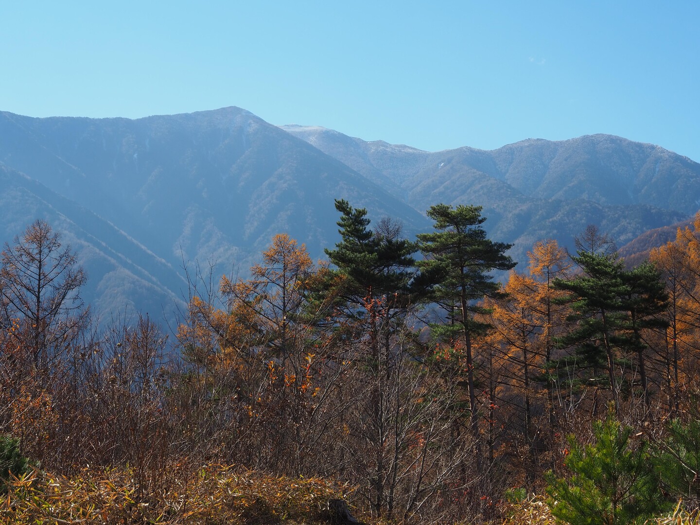 長野の鳩吹山 / ICHI JUNさんの木曽駒ヶ岳・空木岳・越百山の活動データ | YAMAP / ヤマップ