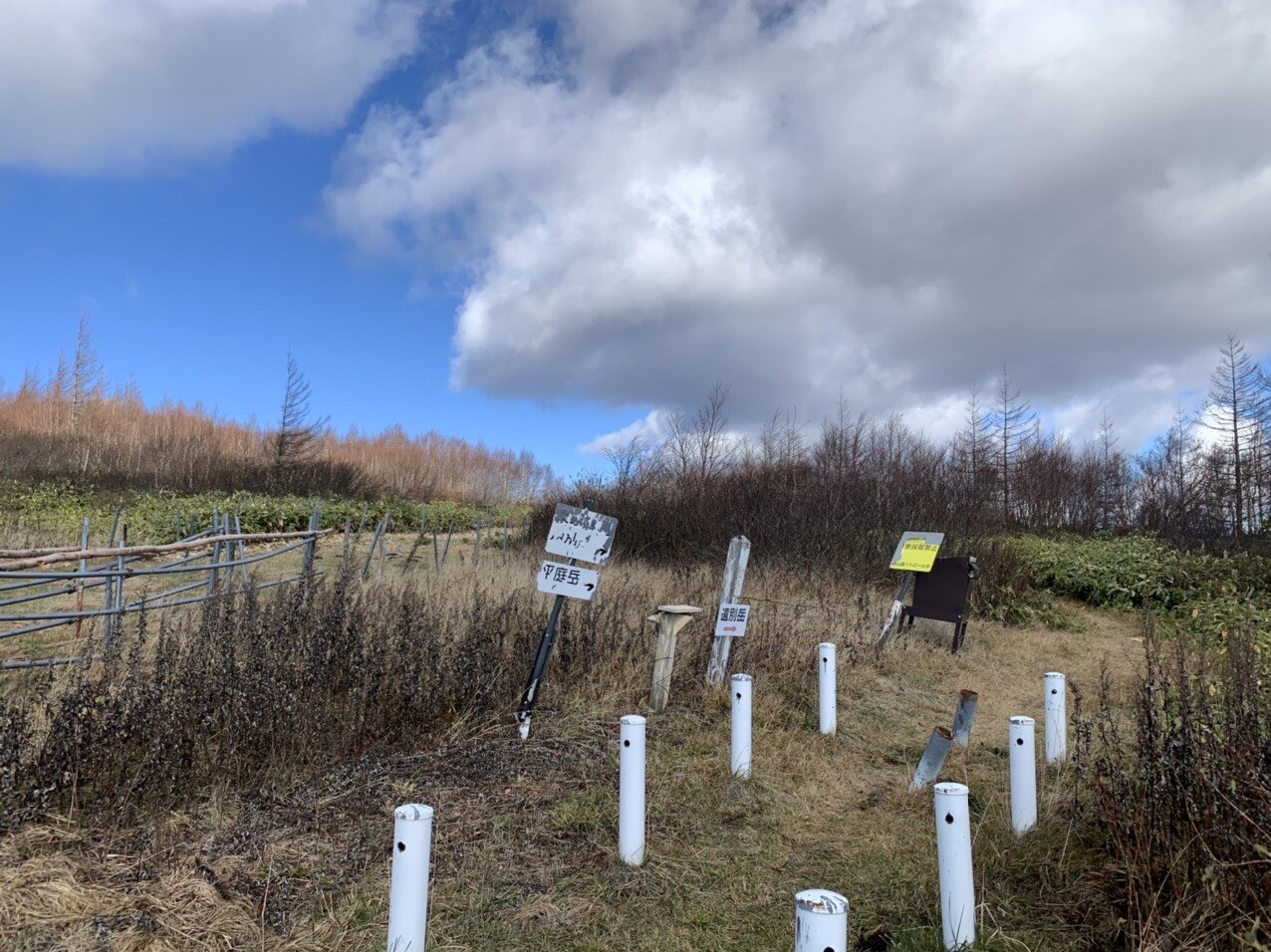 安家森・遠別岳 / annaさんの安家森の活動データ | YAMAP / ヤマップ