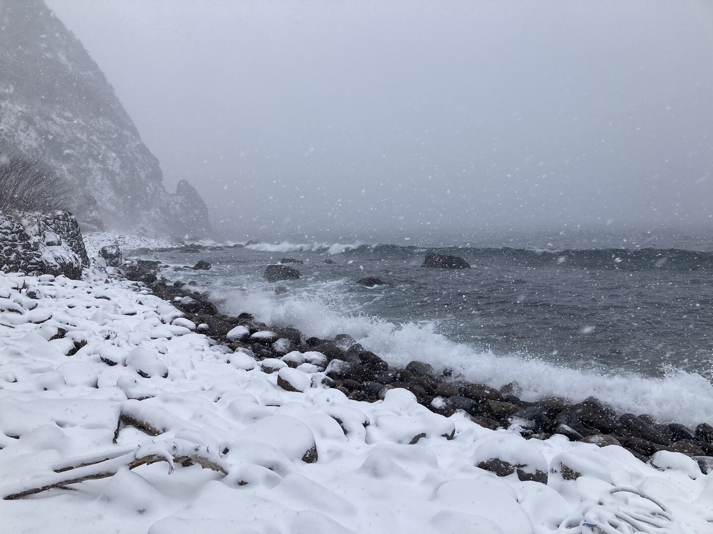 函館山。寒川へ下りてみる。 / chanmikiさんの函館山の活動データ | YAMAP / ヤマップ