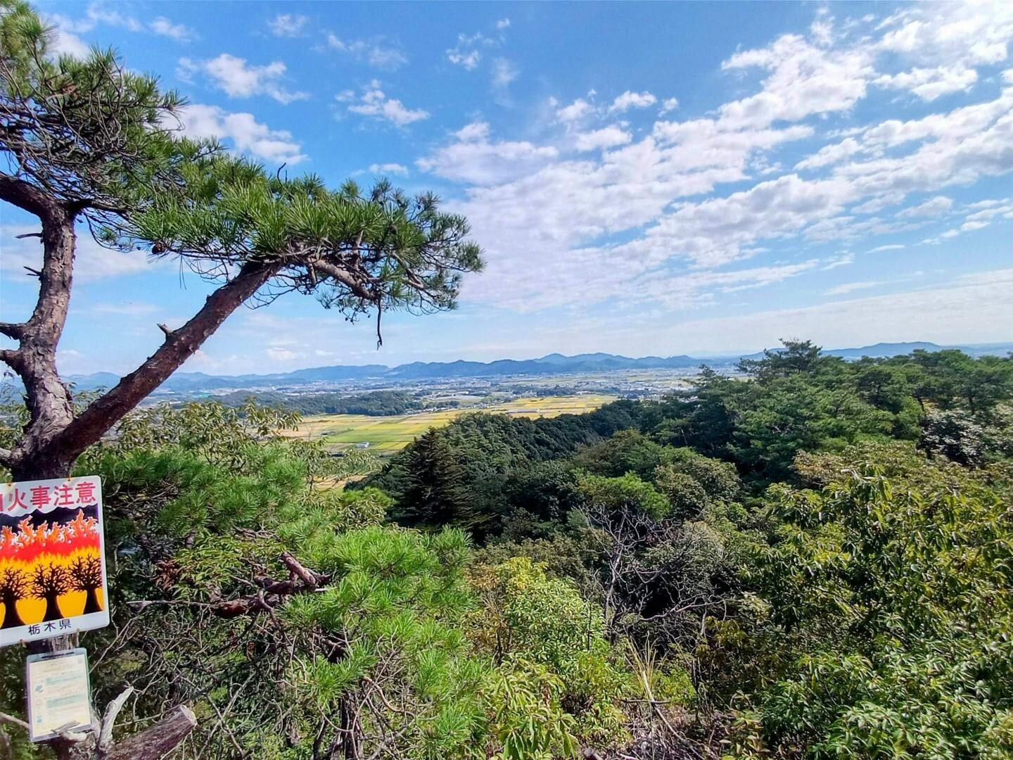 大小山 / ONE DAYさんのランニングの活動データ | YAMAP / ヤマップ