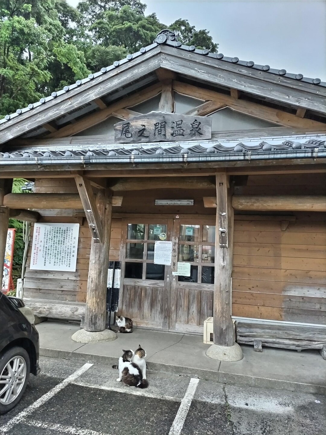 屋久島・蛇の口滝（未到）-2023-05-06 / SG-FRさんの屋久島・宮之浦岳の活動データ | YAMAP / ヤマップ