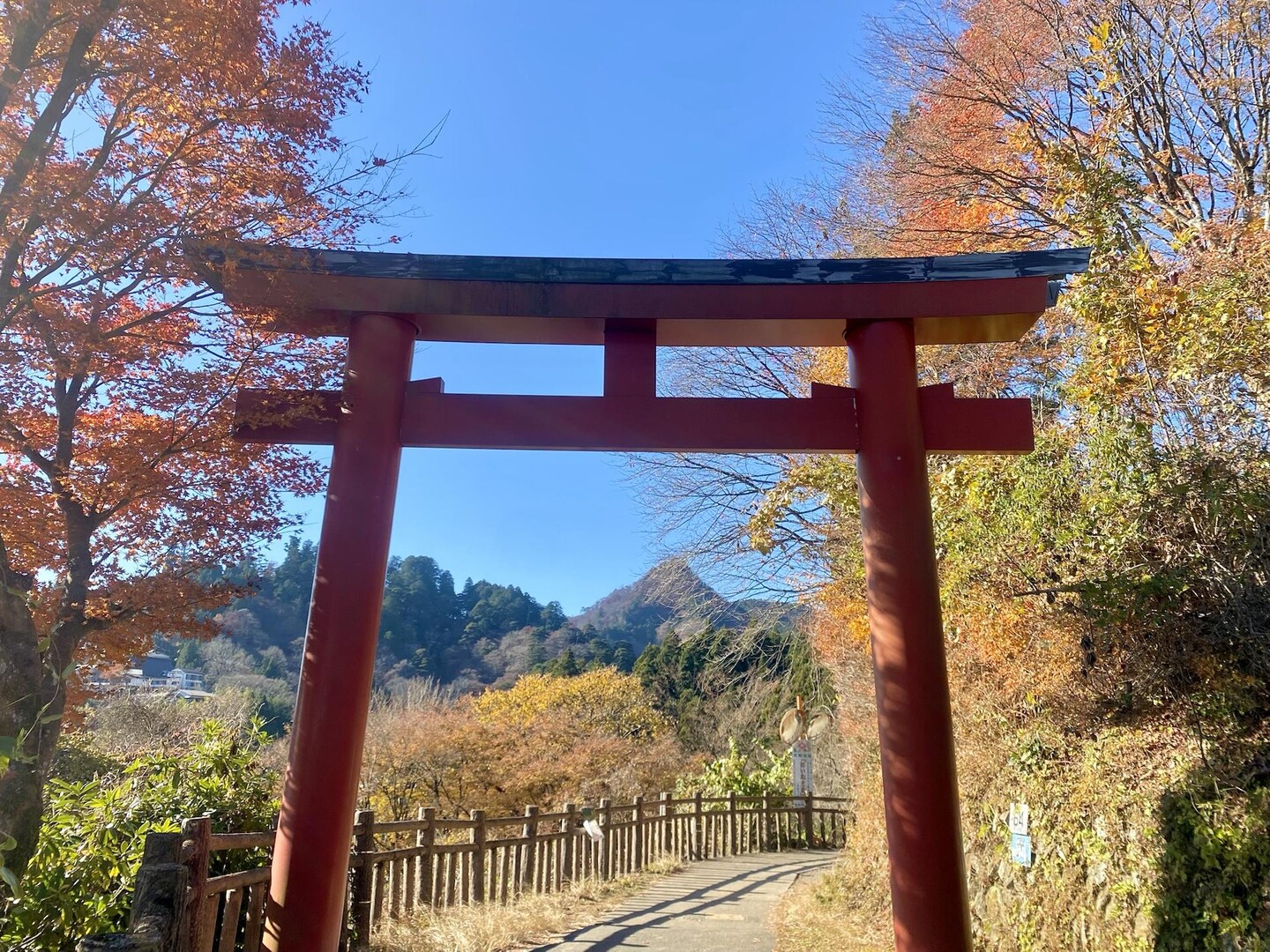 師走、日の出山から御岳山へ。 / 3to4さんの大岳山・御岳山・御前山の活動データ | YAMAP / ヤマップ