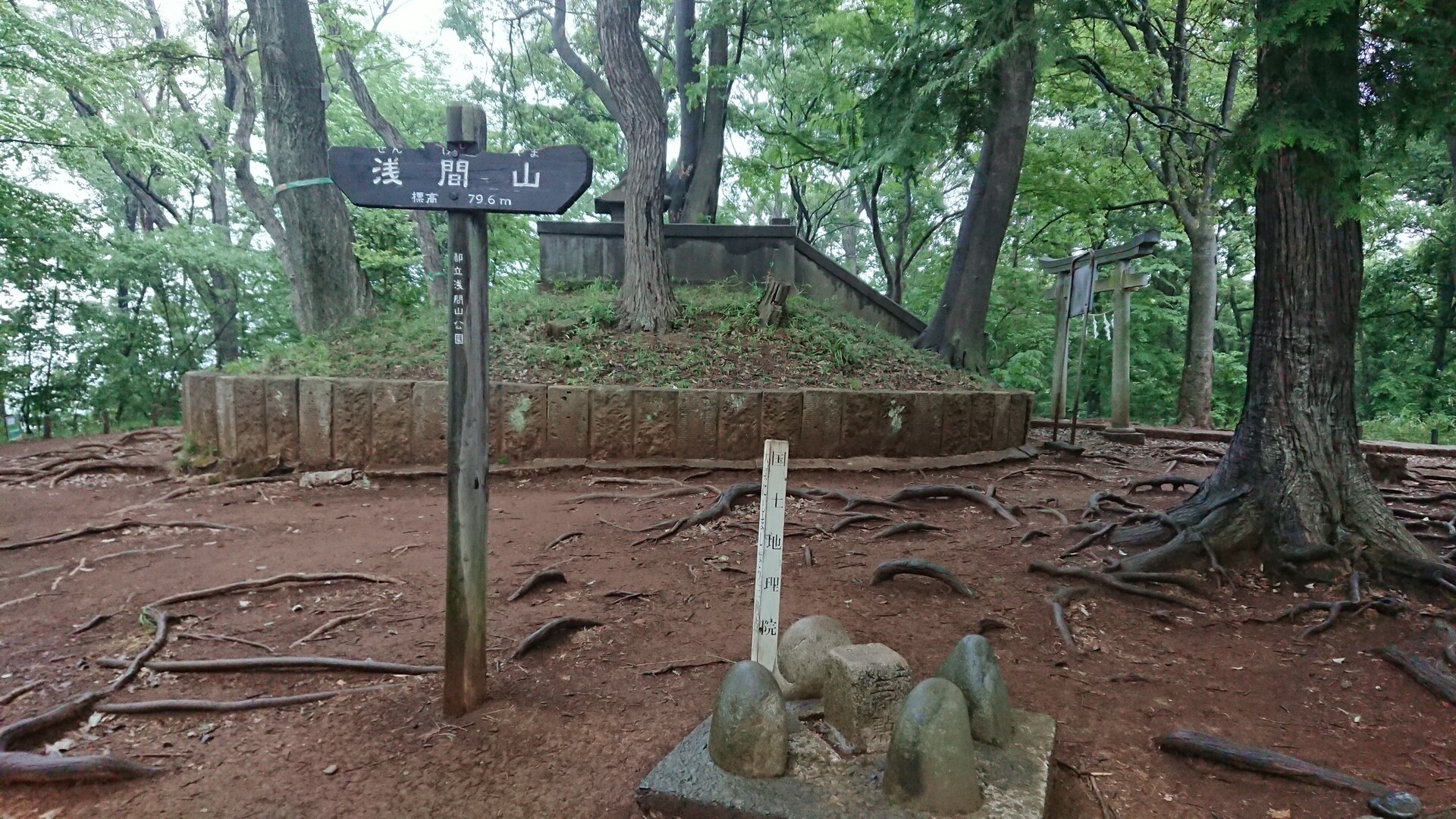 今日は霧雨に濡れたムサシノキスゲを見に ... / Shuuさんのモーメント | YAMAP / ヤマップ