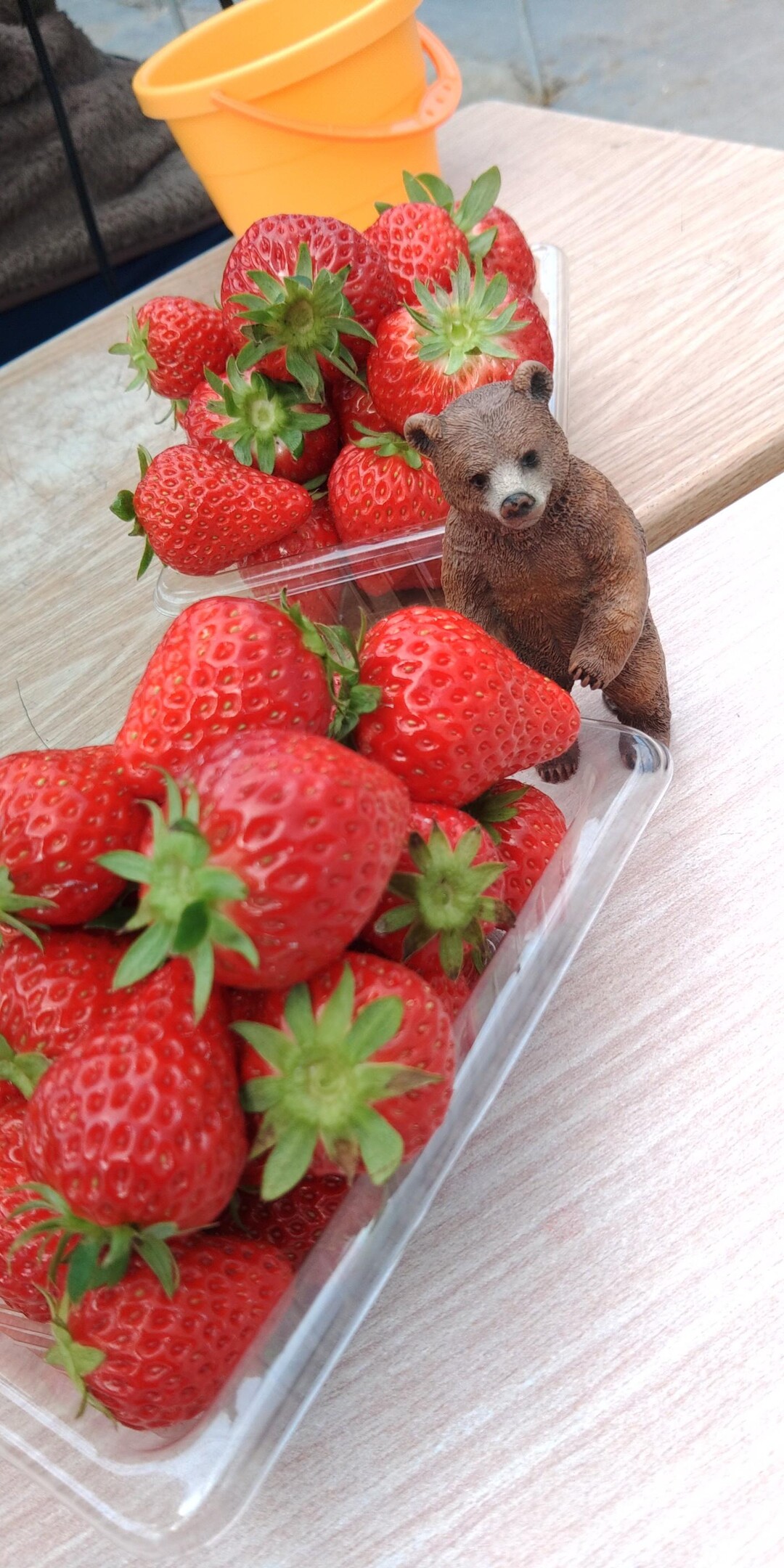 毎年恒例のいちご狩りに行ってきました🍓... / Yamaさんのモーメント | YAMAP / ヤマップ