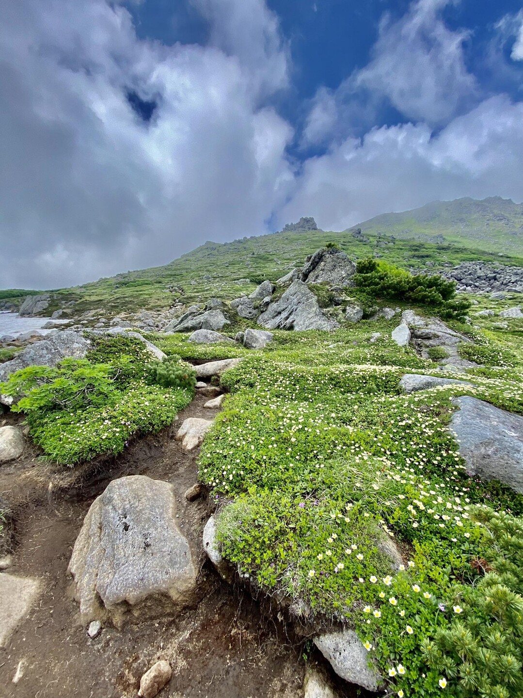 百名山登山日記No.20 憧れのトムラウシ山 / まゆさんのGT3 2の活動データ | YAMAP / ヤマップ