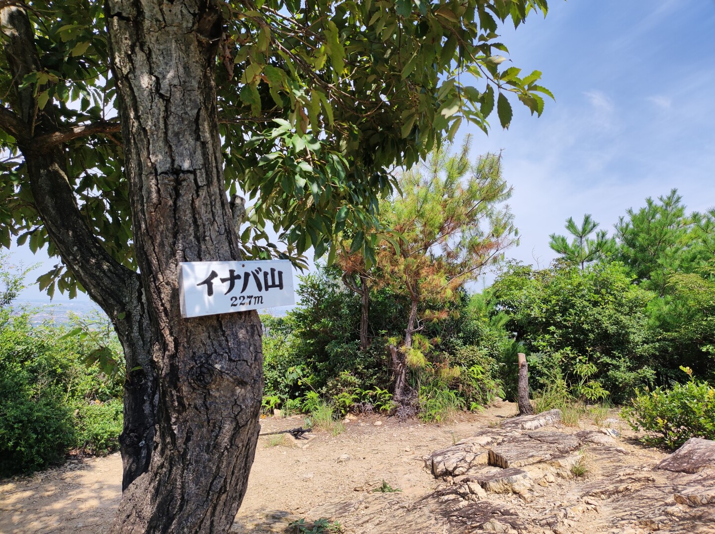 茶臼山・イナバ山 / dk0711さんの茶臼山・万灯山の活動データ | YAMAP / ヤマップ