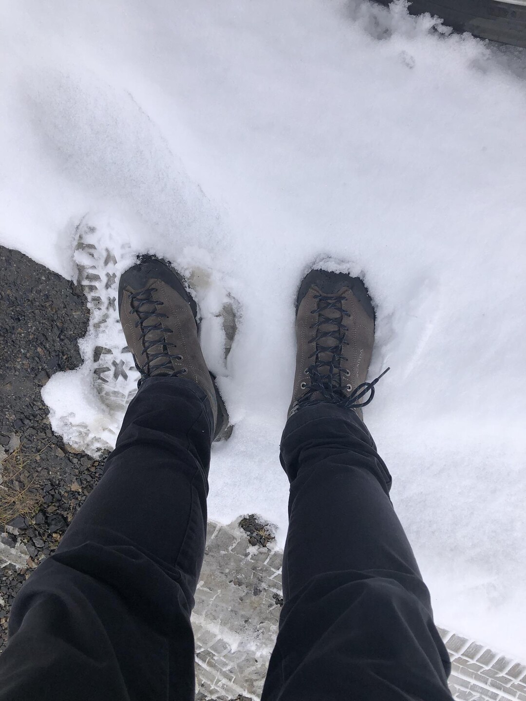 駐車場から会社に入るまでの区間、いつも... / Mt.zakiさんのモーメント | YAMAP / ヤマップ