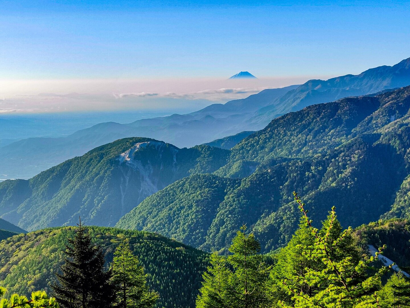 雨乞岳 / nobo1274さんの雨乞岳の活動データ | YAMAP / ヤマップ