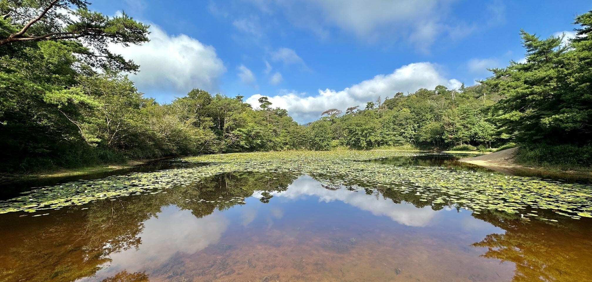 滝汗！🥵 芦屋〜横池〜六甲山〜銀の湯 / Gekkoさんの六甲山・長峰山・摩耶山の活動データ | YAMAP / ヤマップ