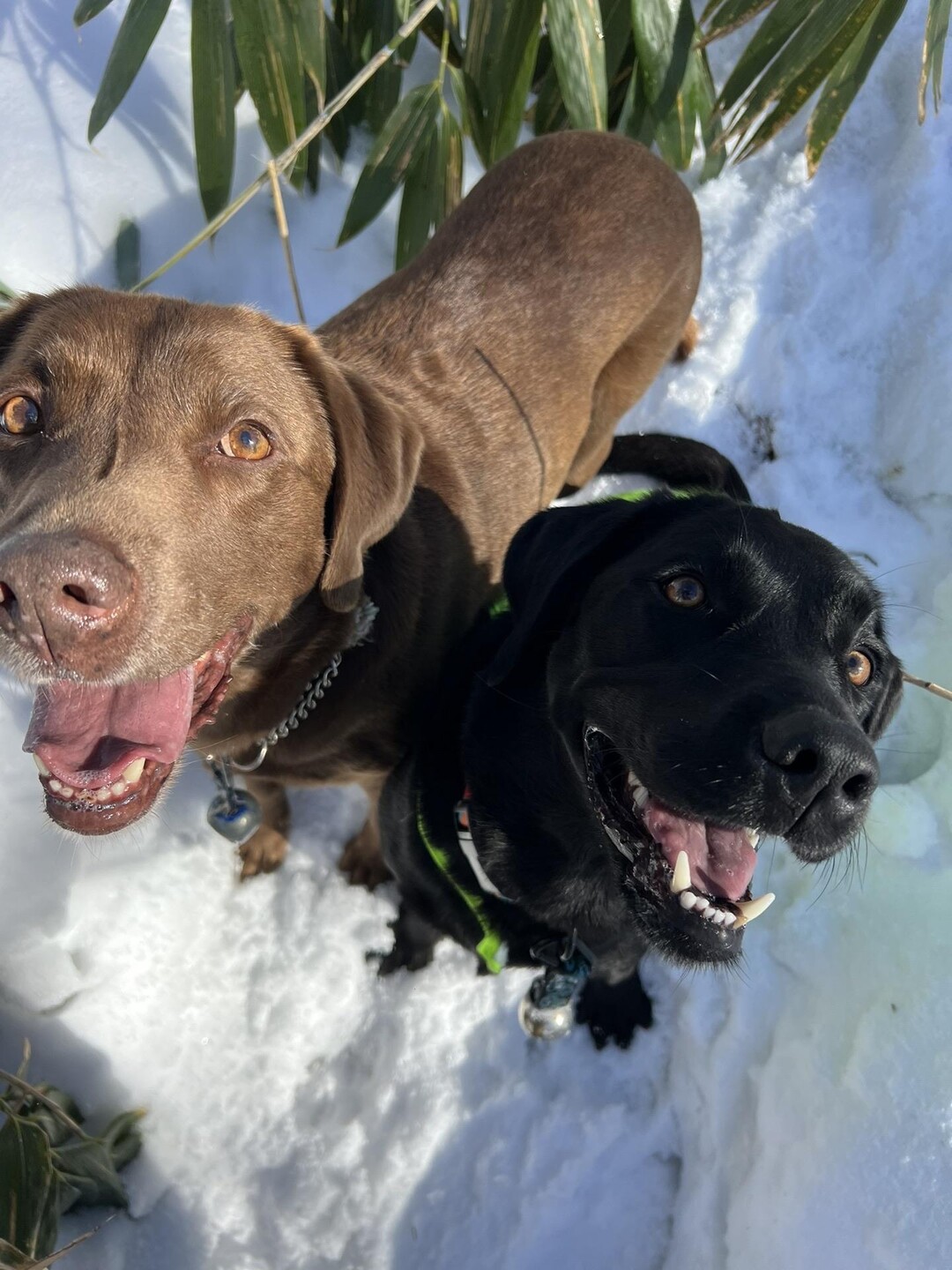 奥長尾山・大辻山 / piroさんの立山・雄山・浄土山の活動データ | YAMAP / ヤマップ