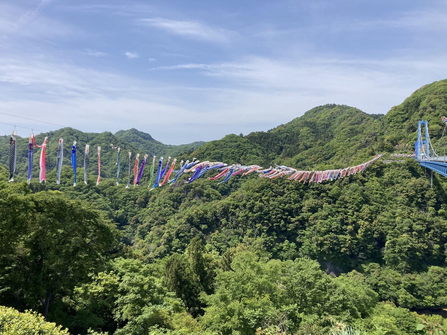 OSJ奥久慈トレイル・ハーフ試走 / とら吉さんの奥久慈男体山・月居山・篭岩（篭岩山）の活動データ | YAMAP / ヤマップ