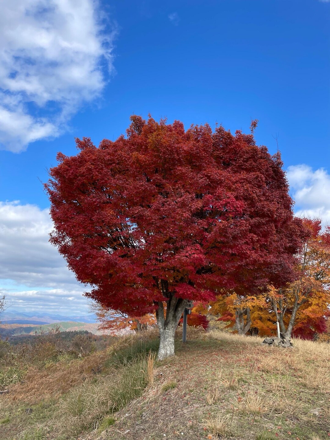 富士山（登美志山） / マサミさんの富士山（登美志山）の活動データ | YAMAP / ヤマップ