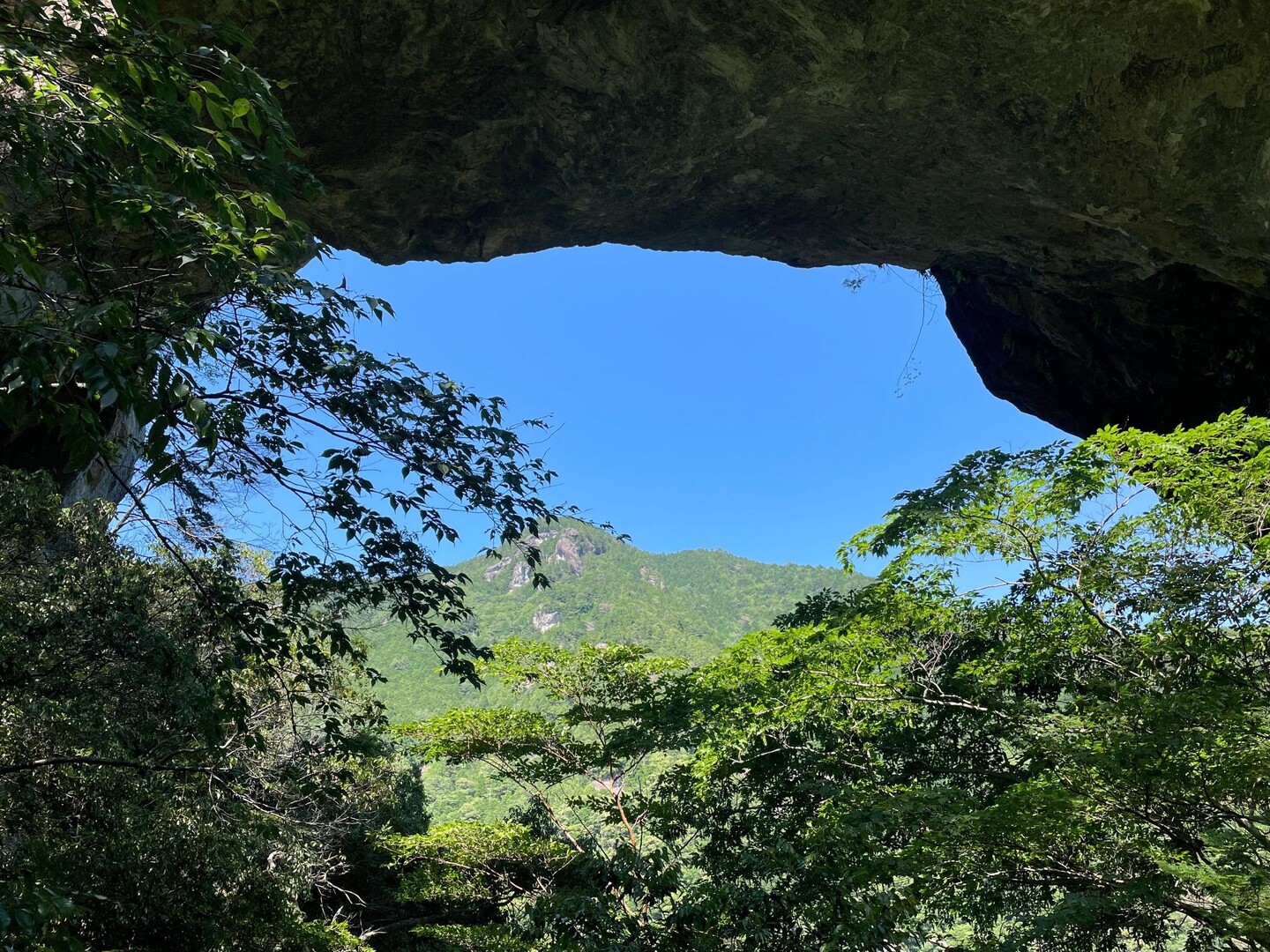 明神山（三ツ瀬明神山）-2023-06-17 / golfbakaさんの明神山（三ツ瀬明神山）の活動データ | YAMAP / ヤマップ