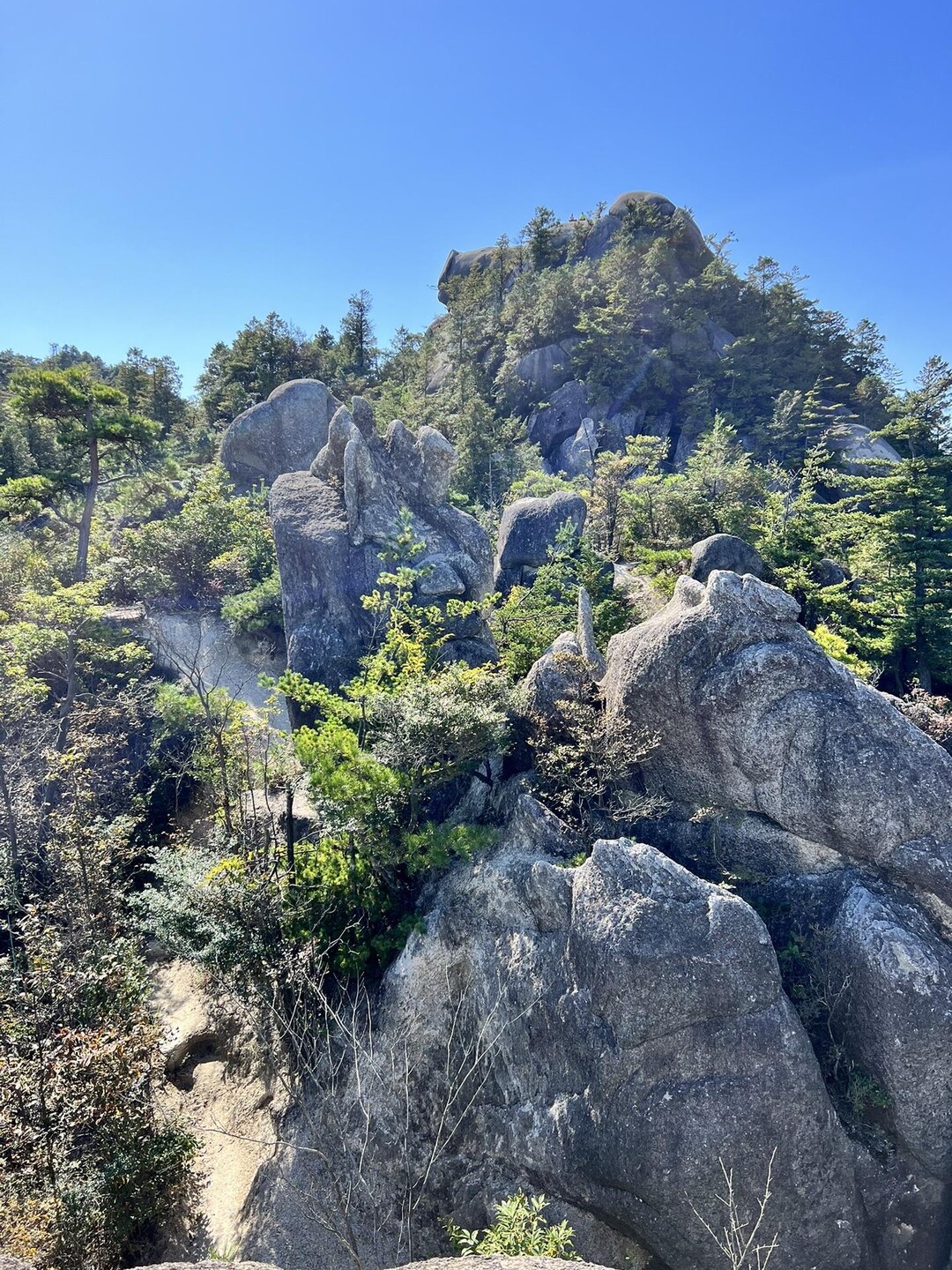 天狗岩 / lipさんの金勝アルプス（鶏冠山・竜王山）の活動データ | YAMAP / ヤマップ