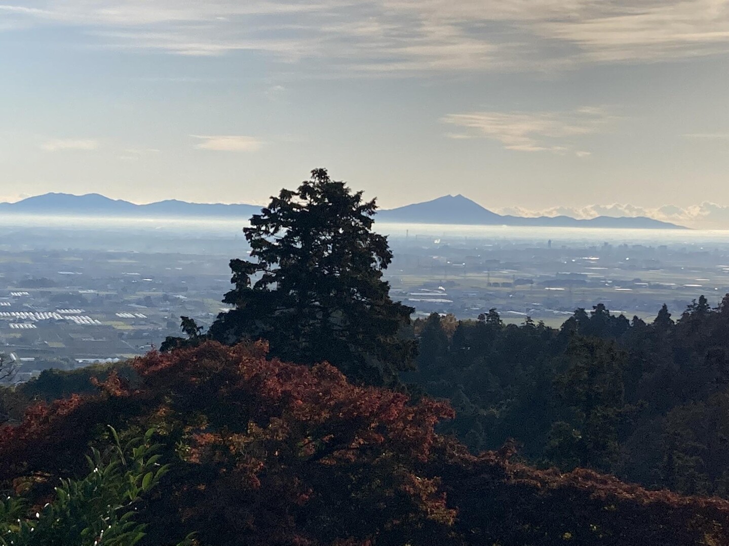 太平山・晃石山・青入山・馬不入山 / shinさんの太平山・晃石山・唐沢山の活動データ | YAMAP / ヤマップ