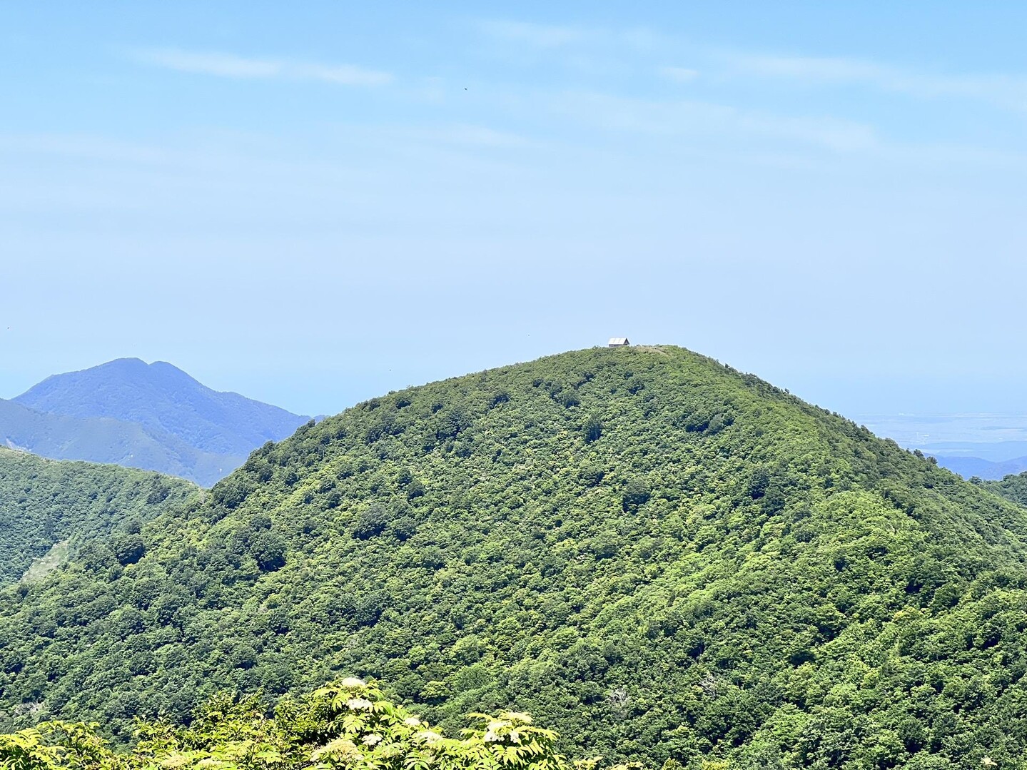 北丈競山・丈競山・浄法寺山 / ma_han_mさんの丈競山・浄法寺山・鷲ヶ岳の活動データ | YAMAP / ヤマップ