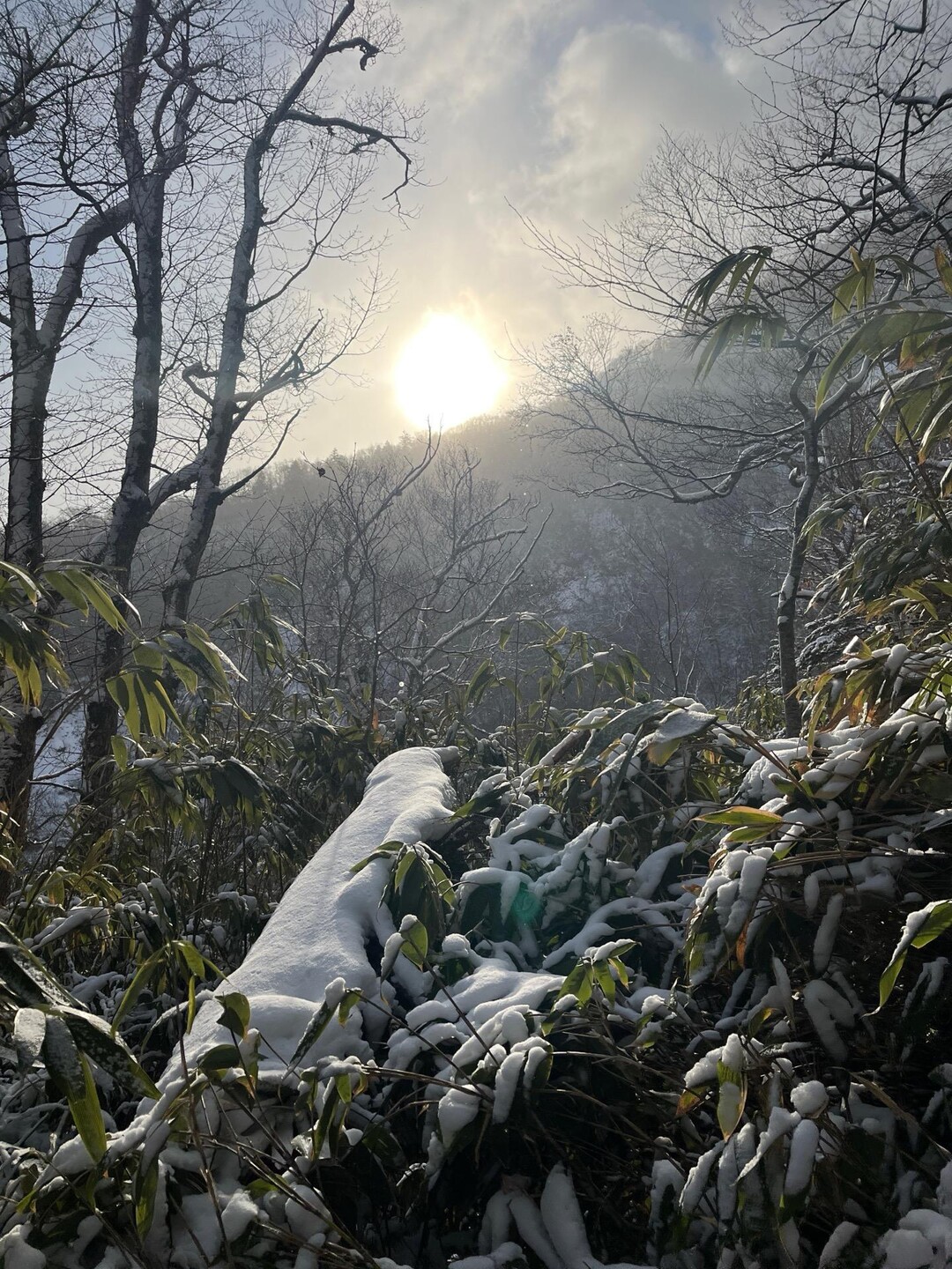2024ラスト🏔️風不死岳 / Mr.Masaさんの樽前山・風不死岳の活動データ | YAMAP / ヤマップ