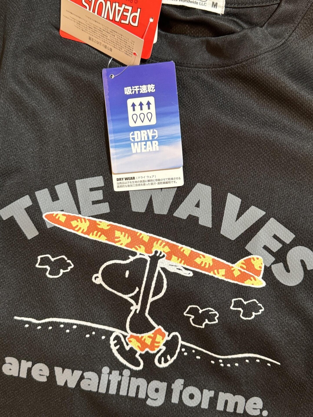 夏前のお買い物⛰️ ・スヌーピータウン ... / BANBANさんのモーメント | YAMAP / ヤマップ