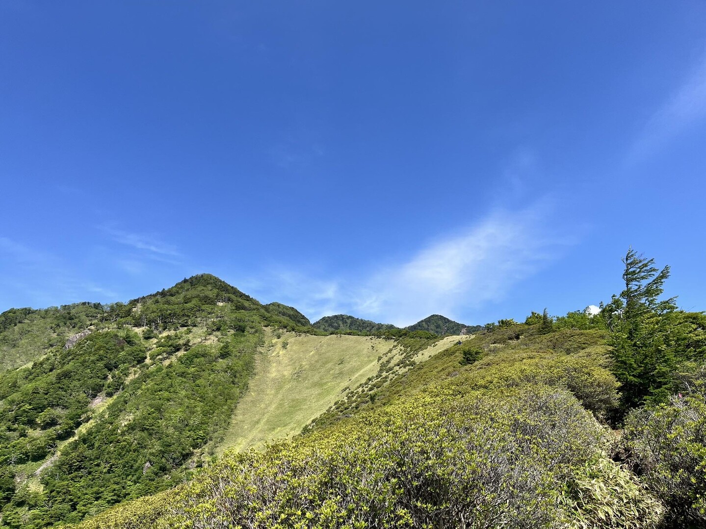赤薙山のちょっと先まで山歩😉 / yuriさんの女峰山・赤薙山・大真名子山の活動データ | YAMAP / ヤマップ