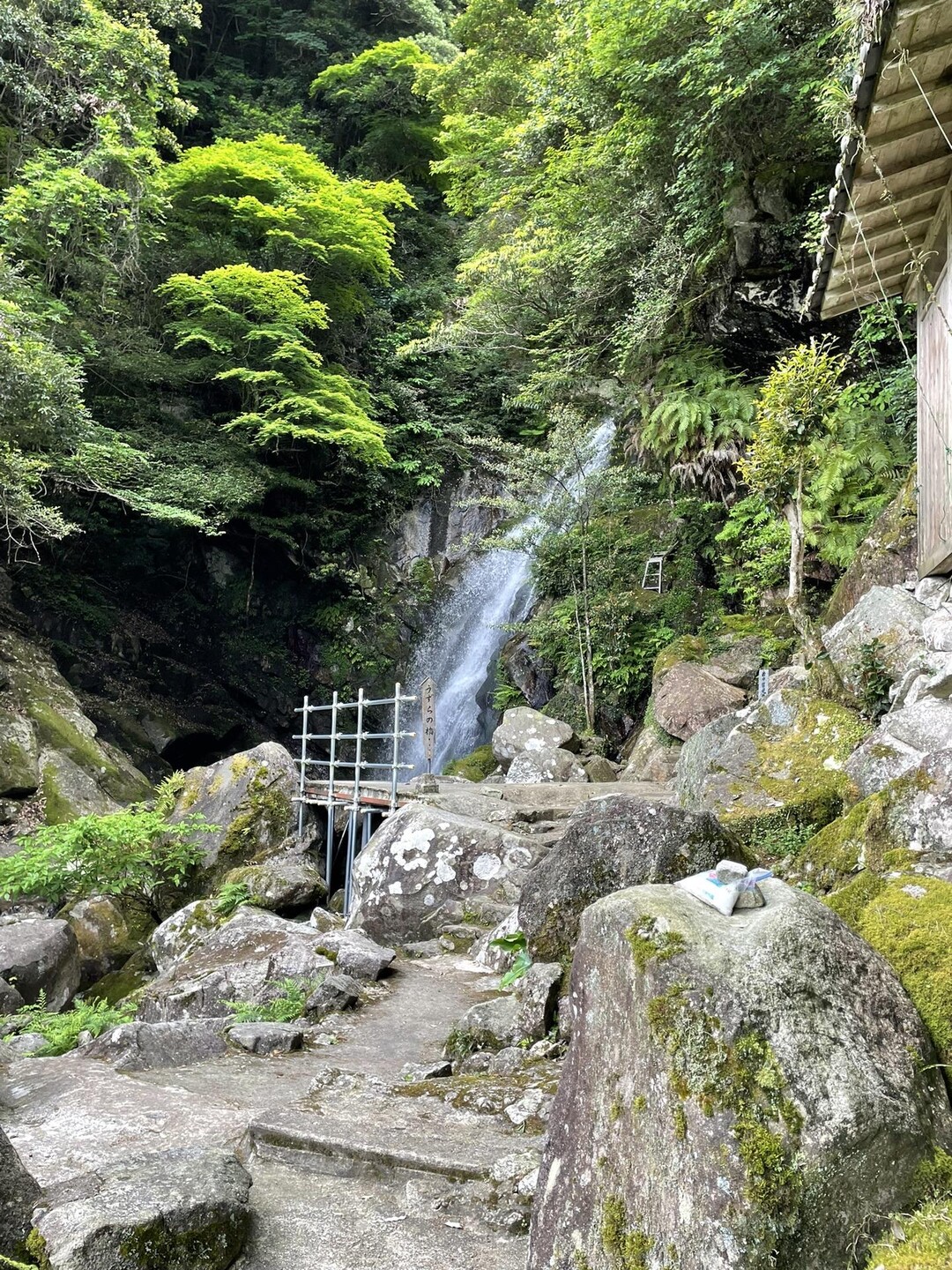 金山ルーファイ / katsuさんの脊振山・金山の活動データ | YAMAP / ヤマップ