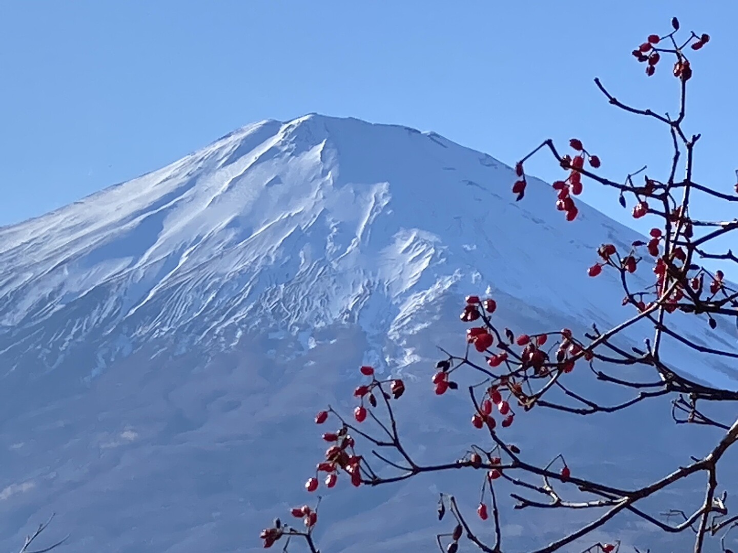 富士箱根トレイル 湯船山-三国山-立山 / koyunisoさんの三国山の活動データ | YAMAP / ヤマップ