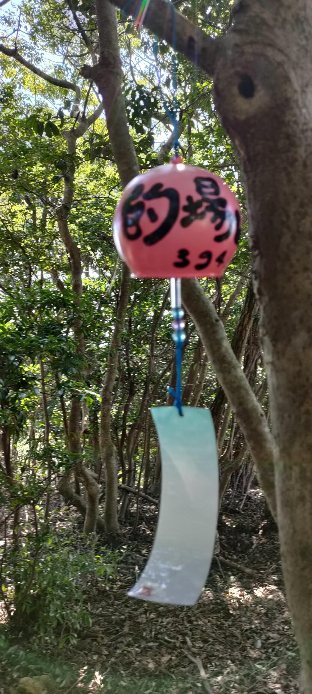 的場山 / のりさんの後山・船木山・駒の尾山の活動データ | YAMAP / ヤマップ