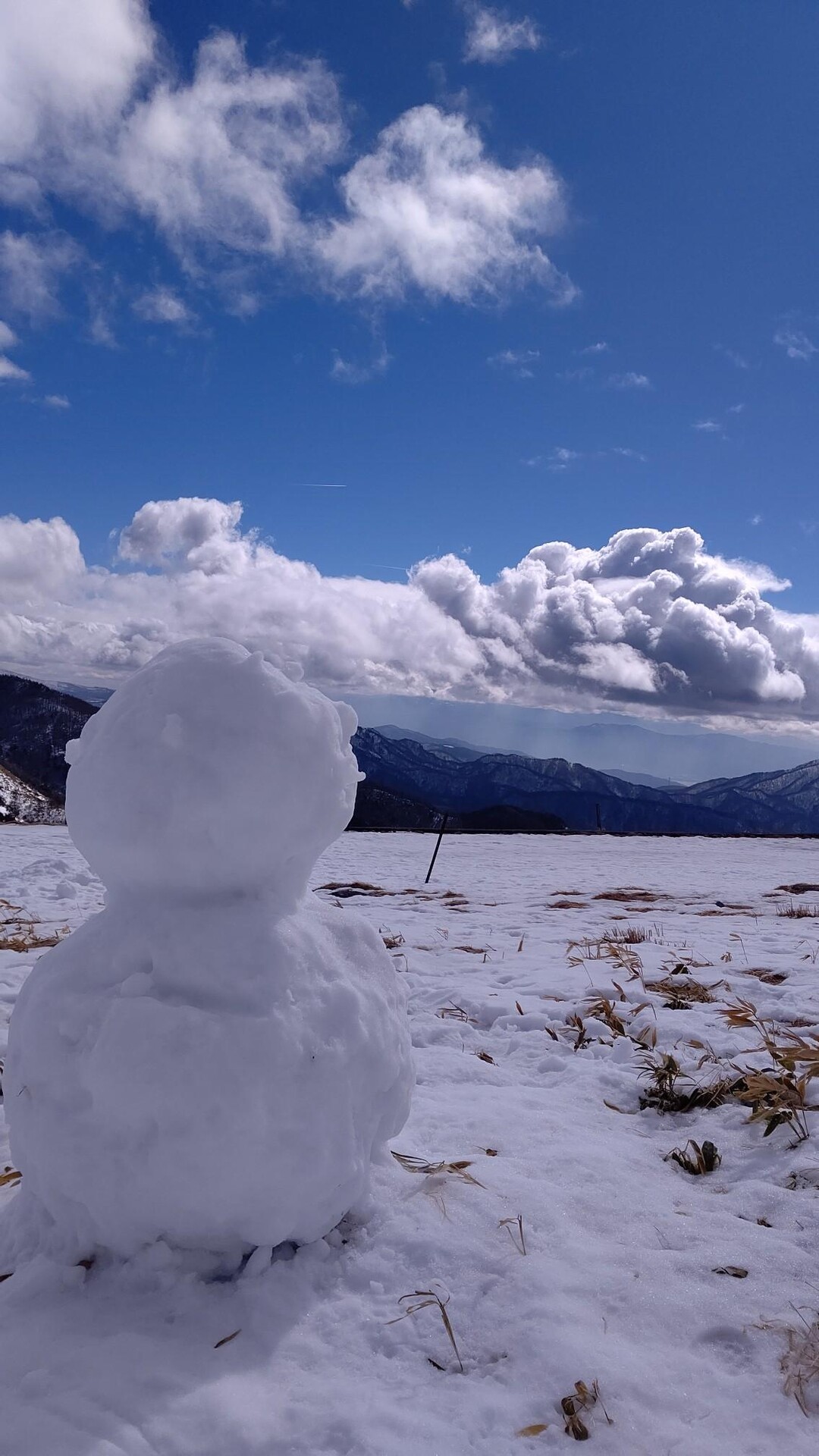 茶臼山・牛伏山・王ヶ鼻 天空のスノーラン / AO ONIさんの美ヶ原の活動データ | YAMAP / ヤマップ