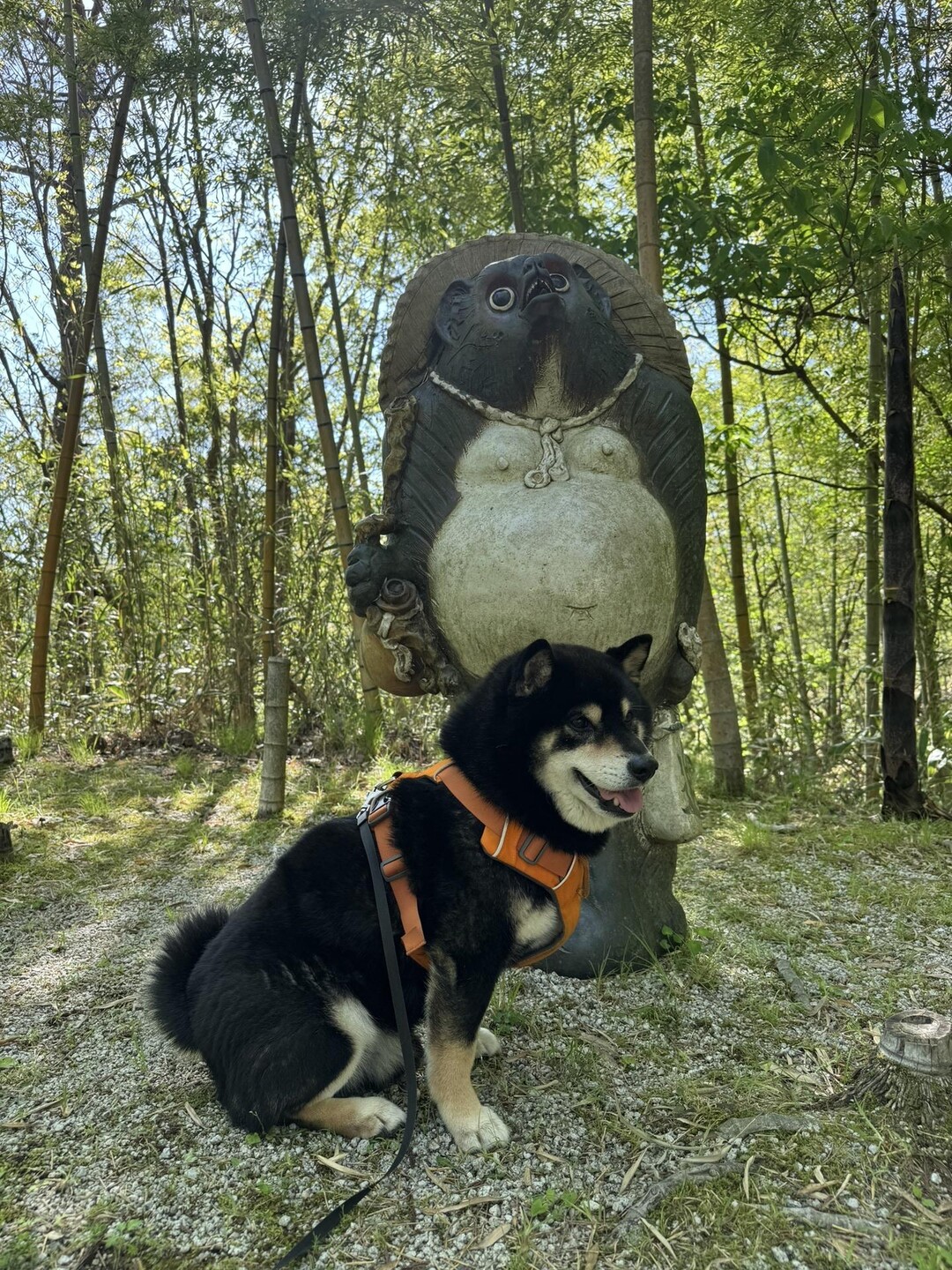 滋賀県立陶芸の森 / ta614さんのウォーキングの活動データ | YAMAP / ヤマップ