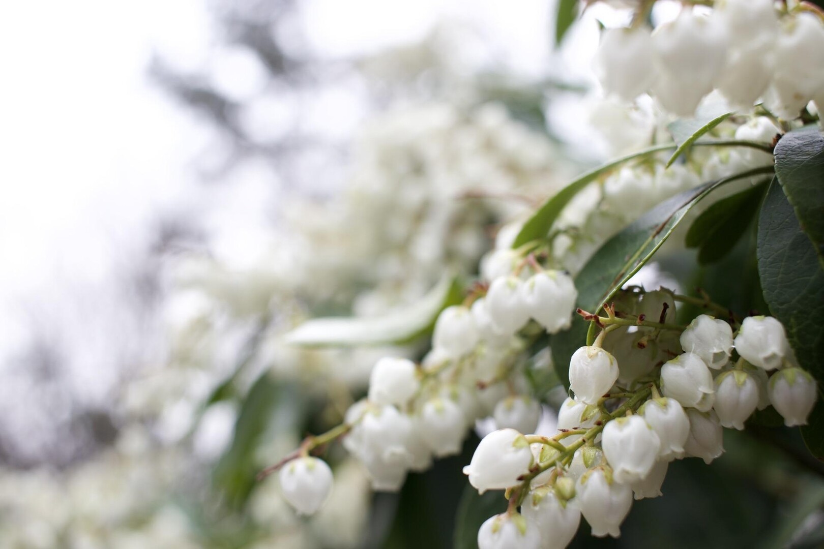 青葉山(東峰)・青葉山(西峰) / mk_013さんの青葉山の活動データ | YAMAP / ヤマップ