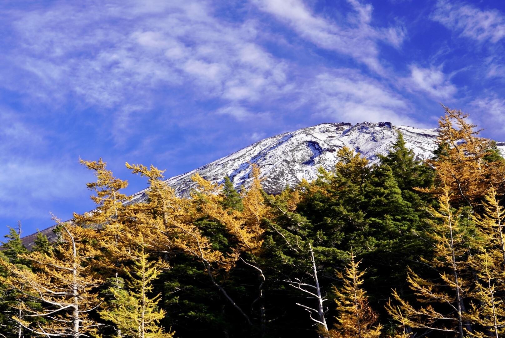 御庭・奥庭 / ma-sa-kiさんの富士山の活動データ | YAMAP / ヤマップ