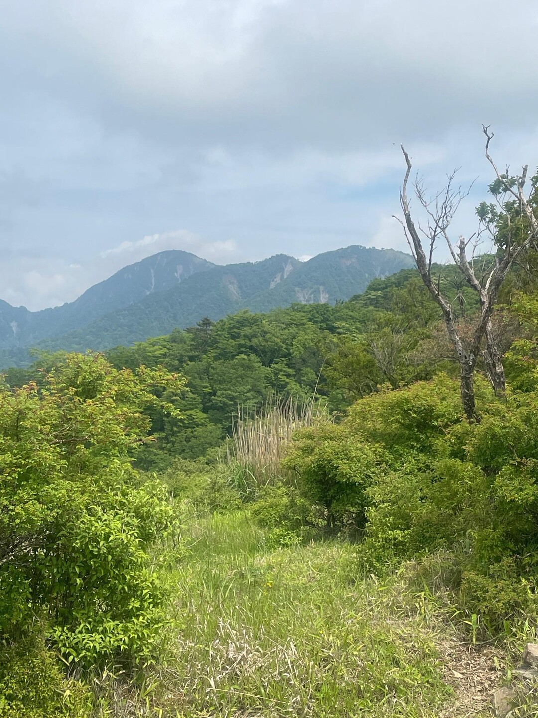 塔ノ岳→鍋割山 / Shoji-nさんの塔ノ岳・丹沢山・蛭ヶ岳の活動データ | YAMAP / ヤマップ