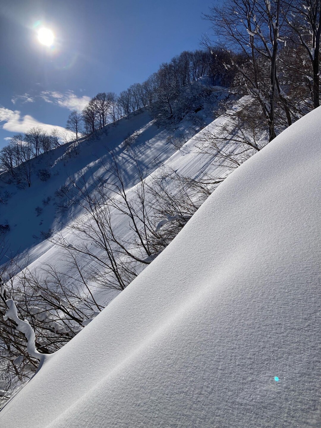三峰山 / naokiさんの不動山の活動データ | YAMAP / ヤマップ