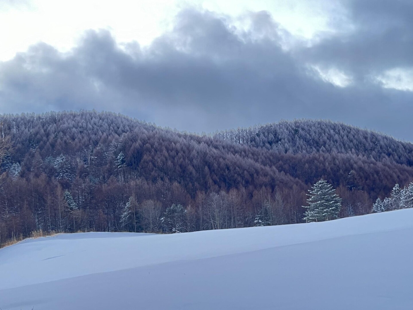 山岳コーチ1の講習会 / yuki yamaさんの乗鞍岳の活動データ | YAMAP / ヤマップ