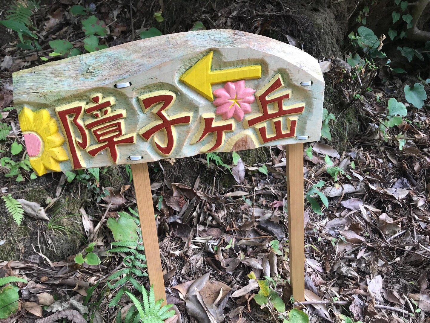 300m山⑥仲哀山(333.7m) 2023-39 英彦山巡礼路秋峰ルート / 岡ちゃんさんの福智山・尺岳・雲取山の活動データ | YAMAP / ヤマップ