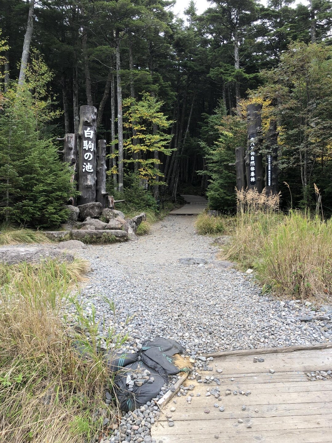 のんびり八ヶ岳ハイク / yuu31さんの八ヶ岳（赤岳・硫黄岳・天狗岳）の活動データ | YAMAP / ヤマップ