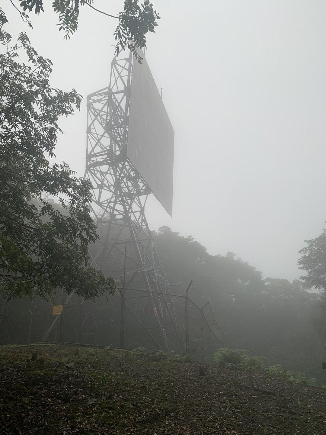 👵🐦‍⬛🧢🏔️古烏帽子山 / koma_xさんの山陽小野田市の活動データ | YAMAP / ヤマップ