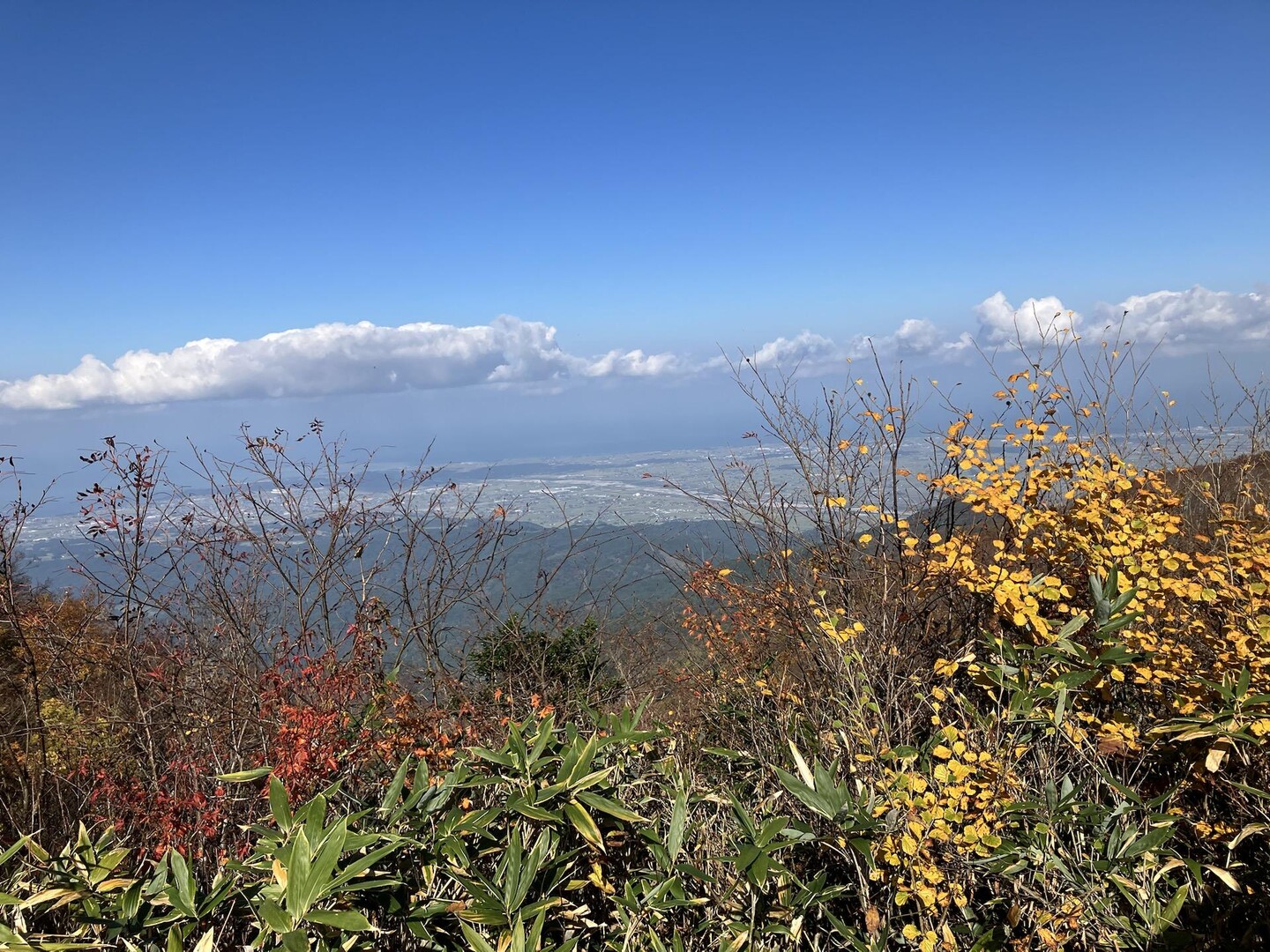 烏帽子山 プレート回収 / miiさんの僧ヶ岳・駒ヶ岳（越中駒ヶ岳）の活動データ | YAMAP / ヤマップ