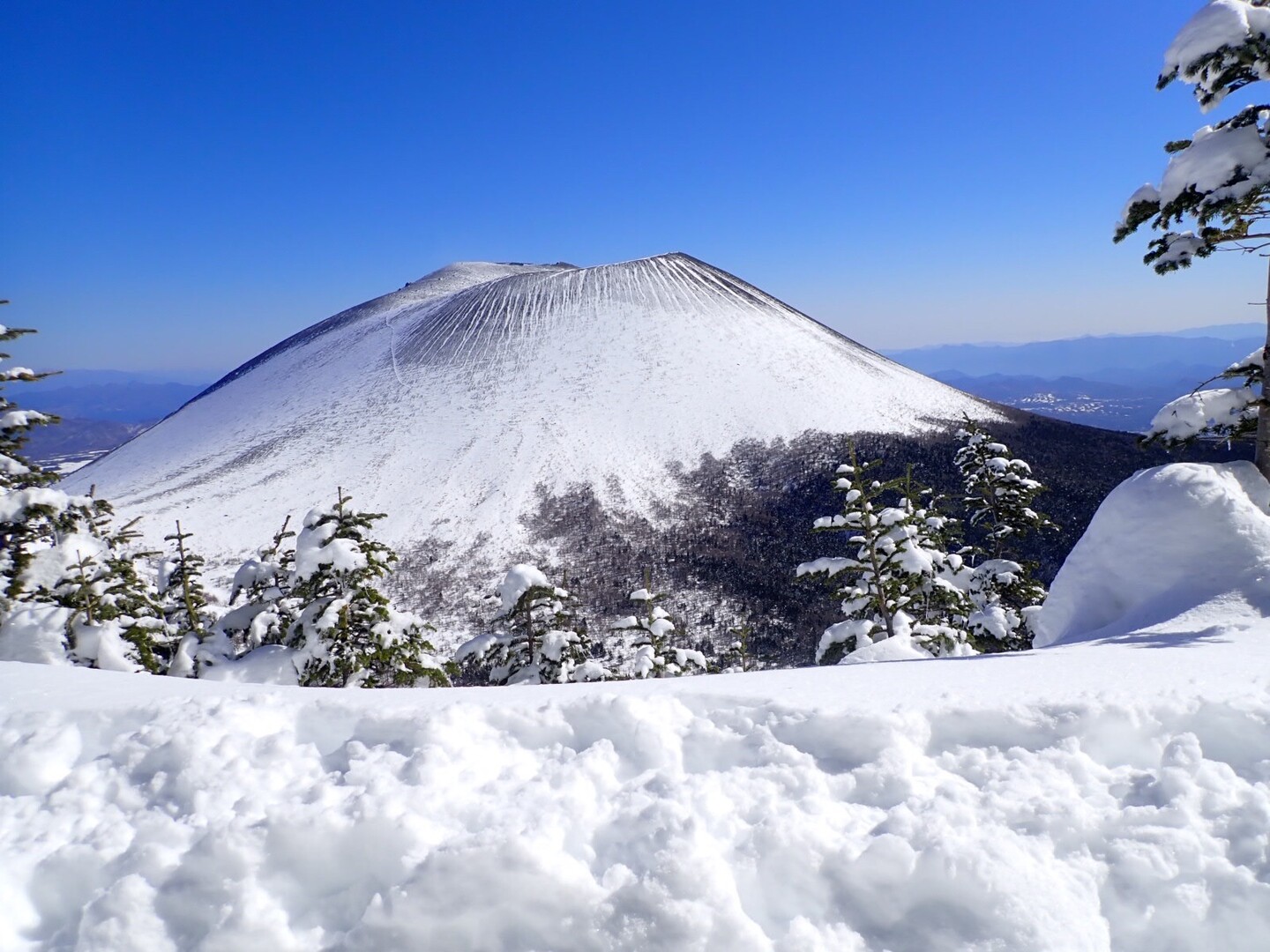 2021-02-06 黒斑山、蛇骨岳 / BONDIさんのウォーキングの活動データ | YAMAP / ヤマップ