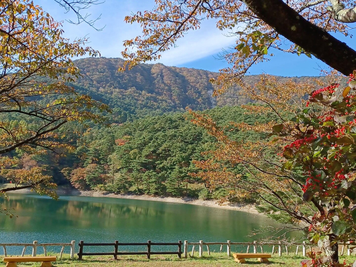🍁秋晴れの半田山、気ままにハイキング / No-036さんの半田山・萬歳楽山の活動データ | YAMAP / ヤマップ