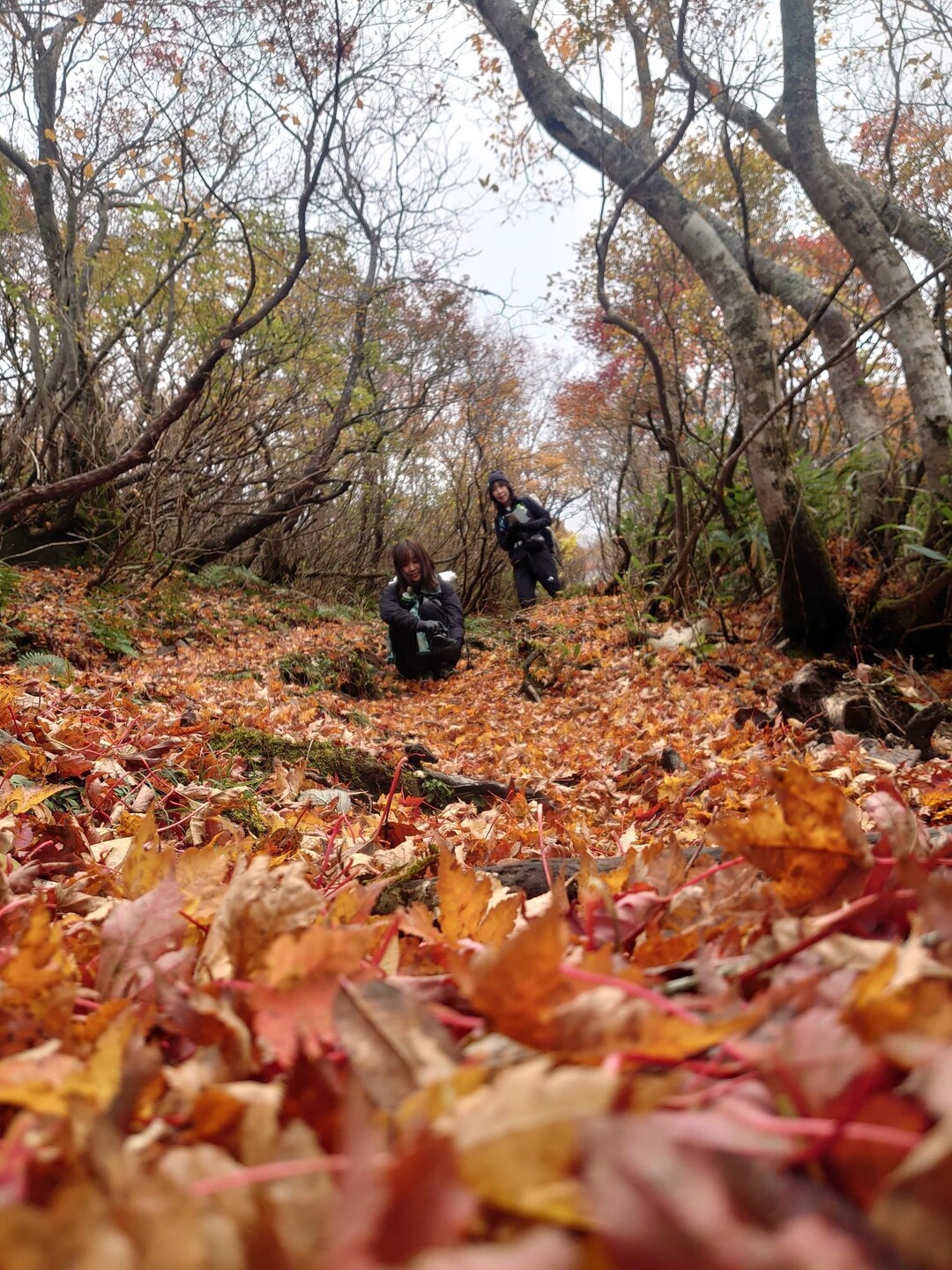 爆風(笑) / J1さんの茶臼岳（那須岳）・三本槍岳・赤面山の活動日記 | YAMAP / ヤマップ