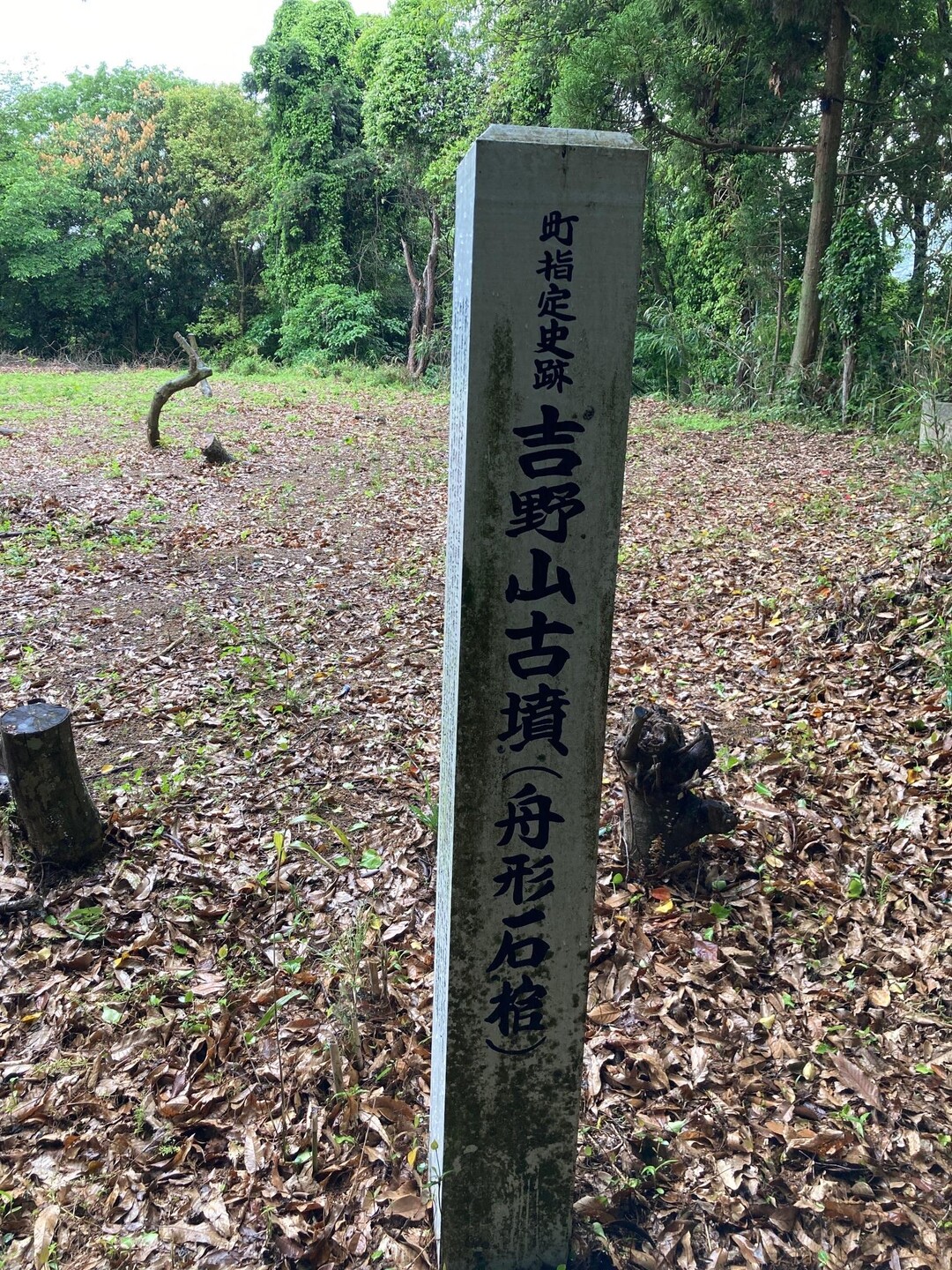 吉野山 / SHINYAさんの飯田山の活動データ | YAMAP / ヤマップ