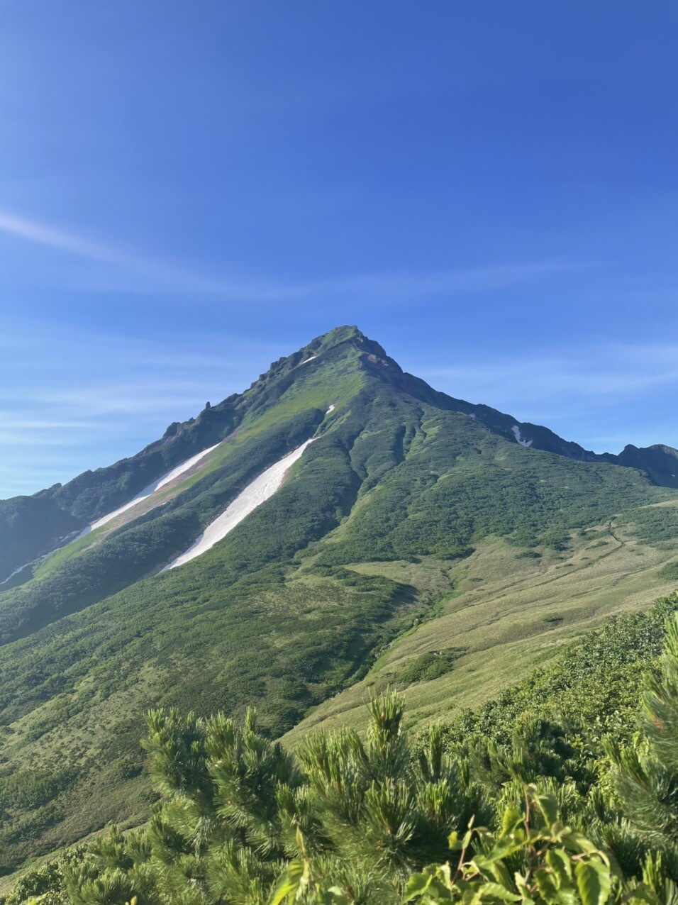 長官山・利尻山（利尻富士） / aya_710さんの利尻山（利尻富士）の活動データ | YAMAP / ヤマップ